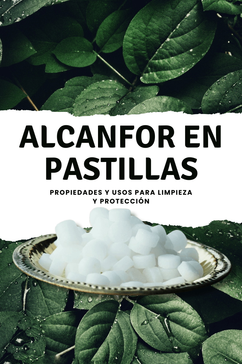 Alcanfor en Pastillas: Propiedades y Usos para Limpieza y Protección ...