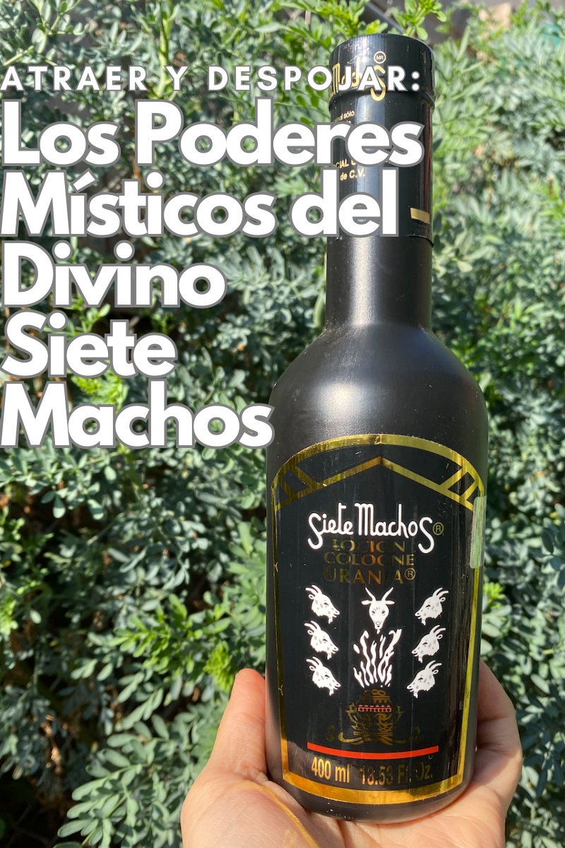 Aprovechando los Poderes Místicos del Divino Aroma Siete Machos – Shop ...